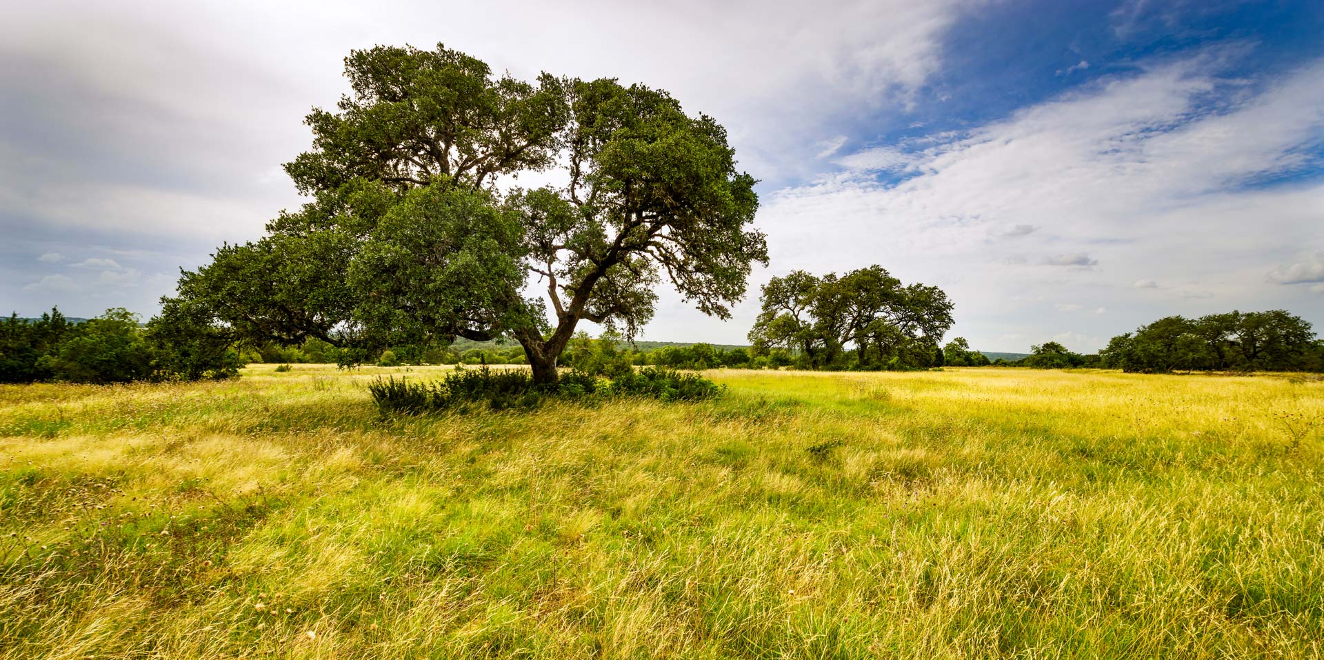 Trinity Ranch - Capland